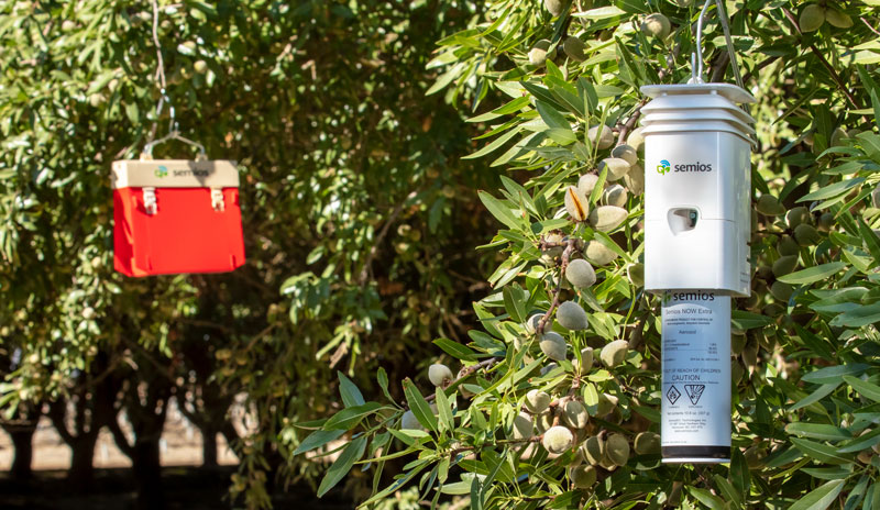 Early Sign up offer for Semios Mating Disruption™ | Semios