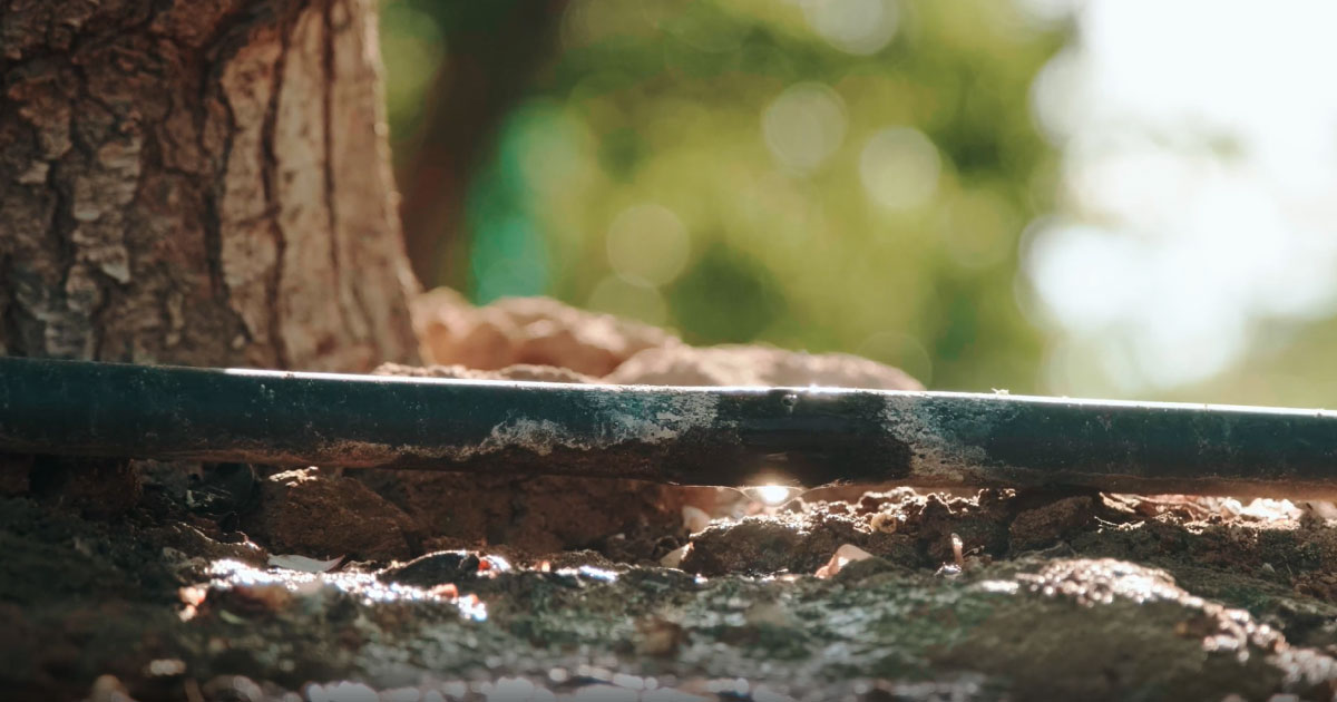 Smart Irrigation for Farmers | Semios - WiseConn Strategic Partnership