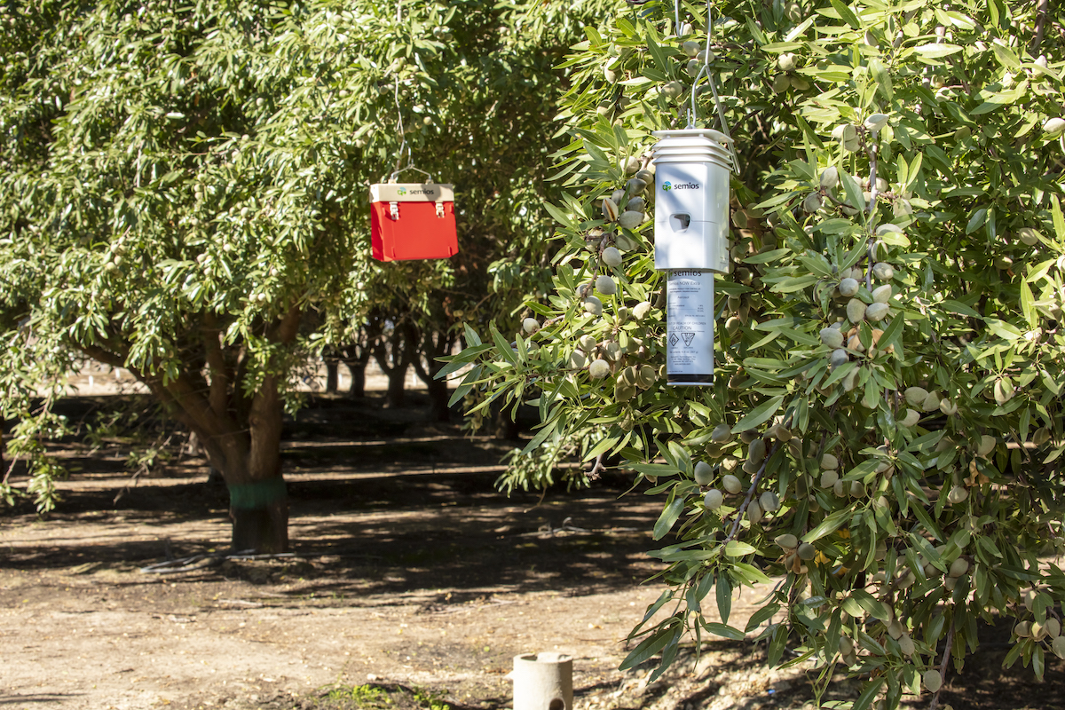 Special Pricing for Semios Mating Disruption | Semios